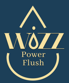Wizz Power Flush London Get Free Quote Power Flush Service